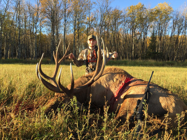 Guaranteed Elk Hunts in Saskatchewan, Canada - Echo Lake Hunts